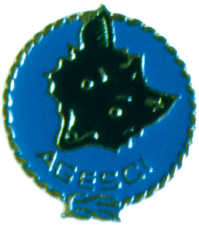 Promessa Lupetto metallo smaltato – Il Castoro Scout Shop